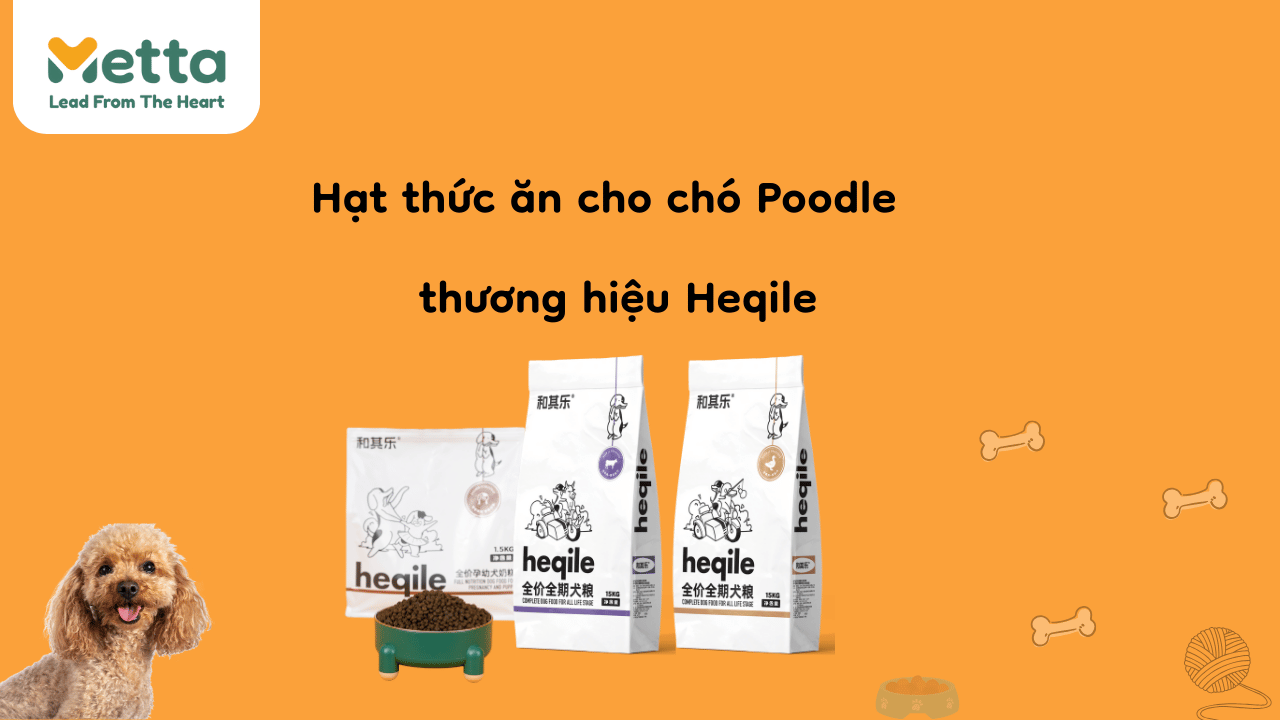 Hạt cho chó Poodle và 8 thương hiệu hàng đầu uy tín và tốt nhất - Metta